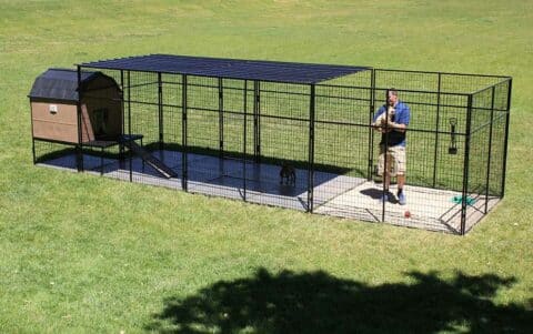 7 Dog Run Ideas For Dog Lovers - DFW Turf Solutions